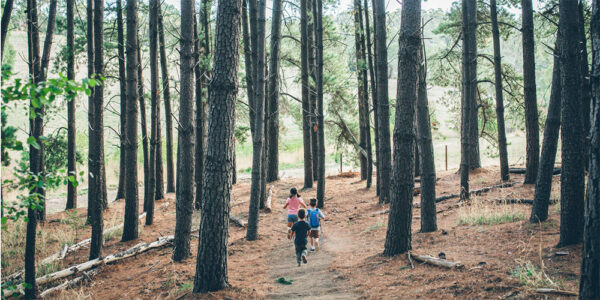 National Parks | Nature Play SA