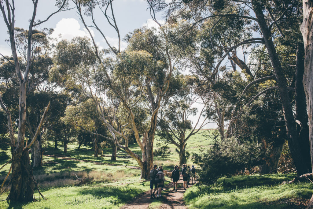 Discover Glenthorne National Park – Ityamaiitpinna Yarta | Nature Play SA
