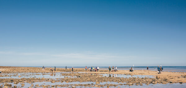 Rockpools | Nature Play SA