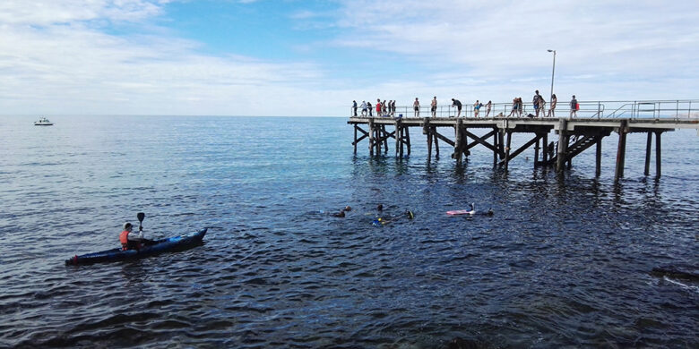 Snorkelling | Nature Play SA