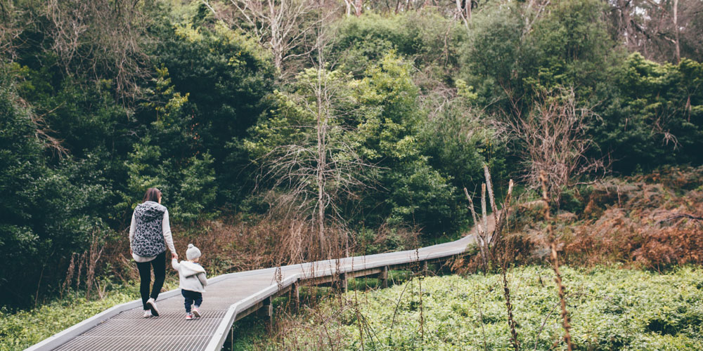 Bushwalks | Nature Play SA