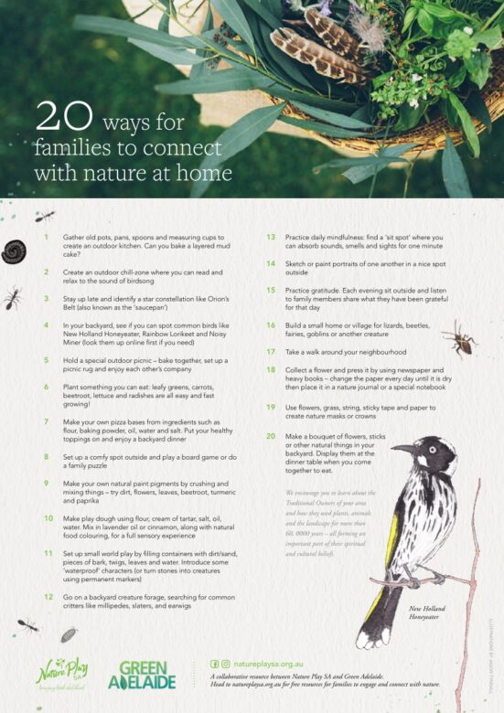 20 Ways for families to connect with nature at home | Nature Play SA