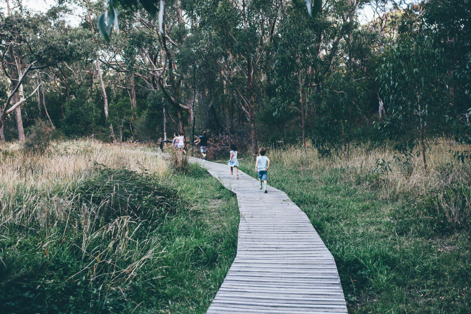 Family Nature Walk in the Adelaide Hills, Woorabinda Bushland Reserve ...