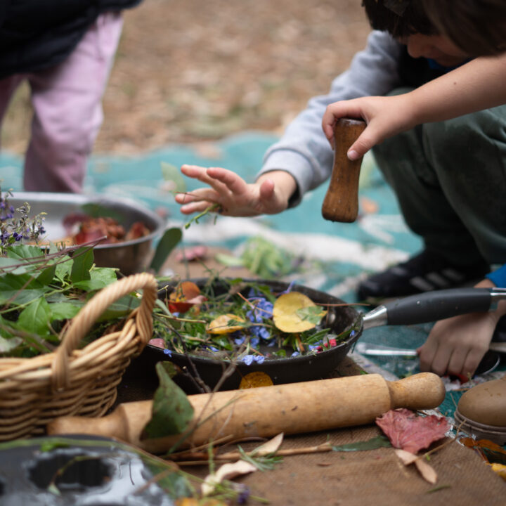 2026 Forest Festival - TICKETS AVAILABLE NOW - Nature Play SA