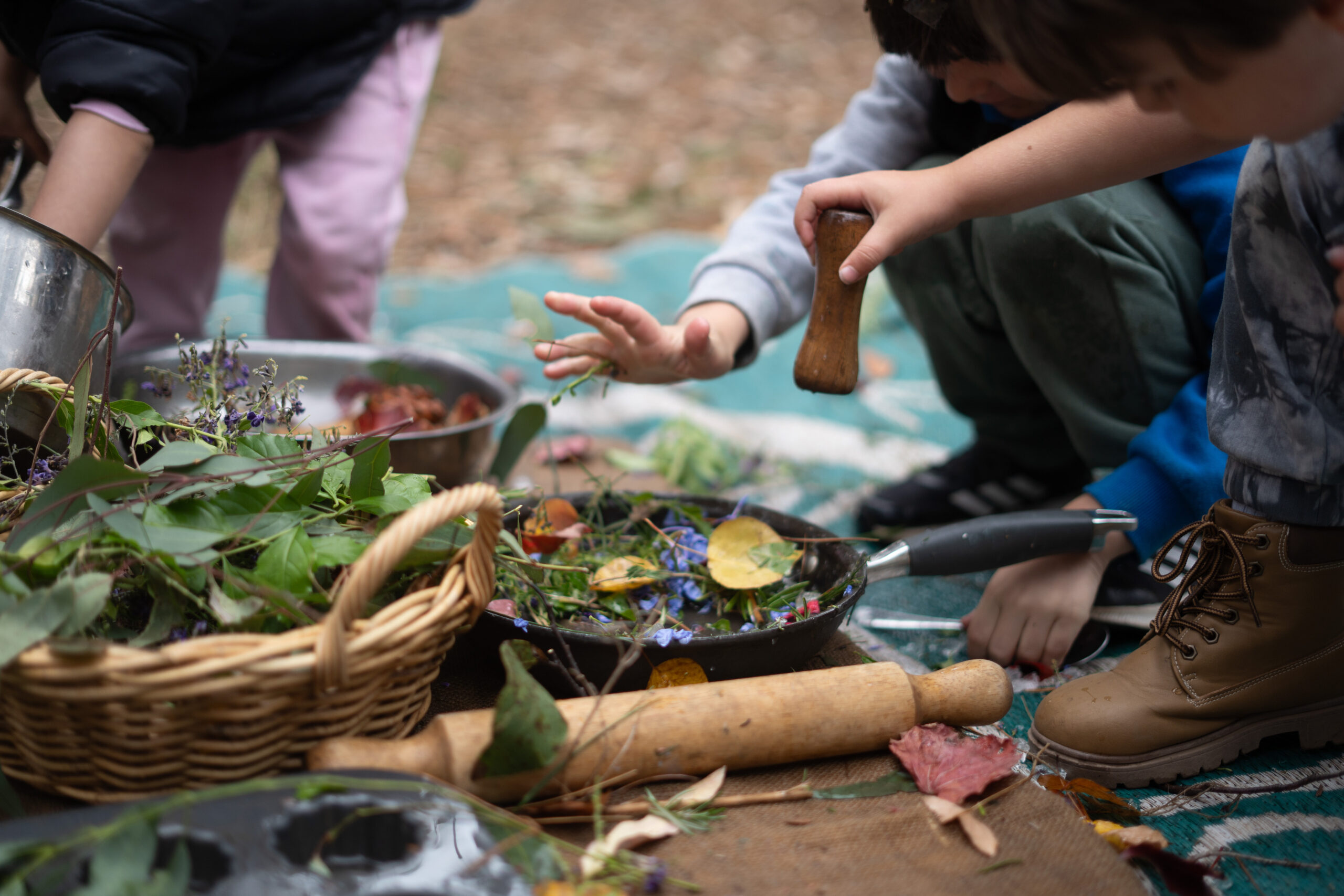 What's On - Nature Play SA