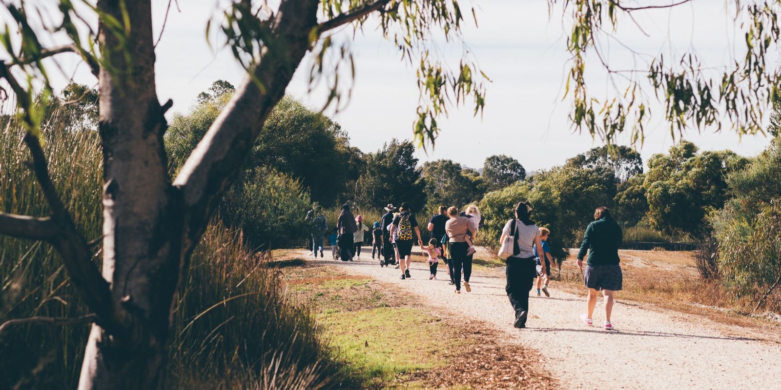Brownhill Creek: Walk, Learn, and Explore – Nature Festival Event ...